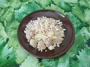 Kadidlovník